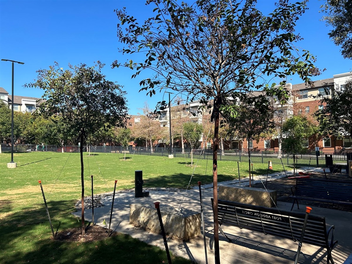 Dog Park Closures Needed for Overseeding - Addison, Texas